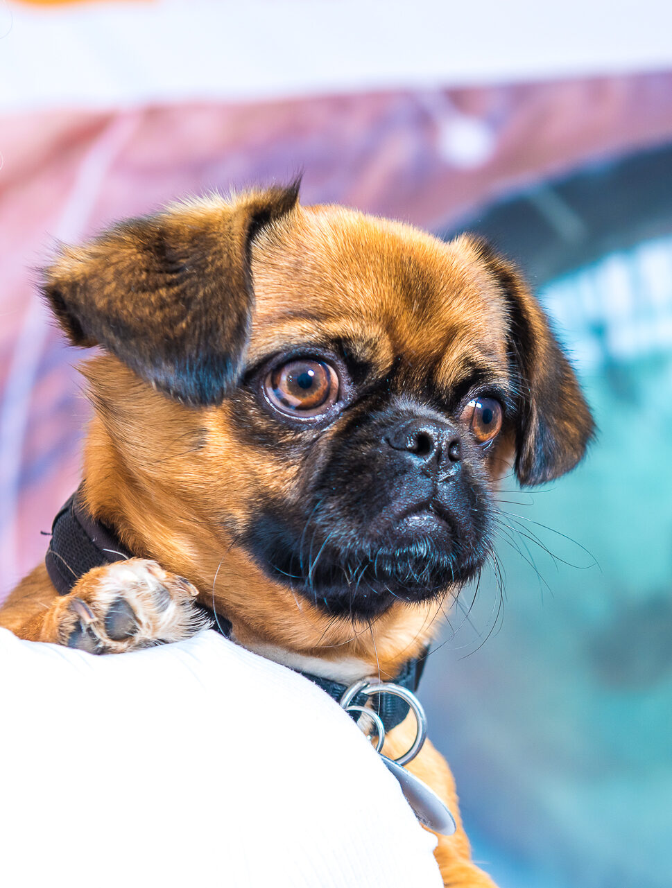 Team – CARMAO GmbH – Organisationale Resilienz. Informationssicherheit ...